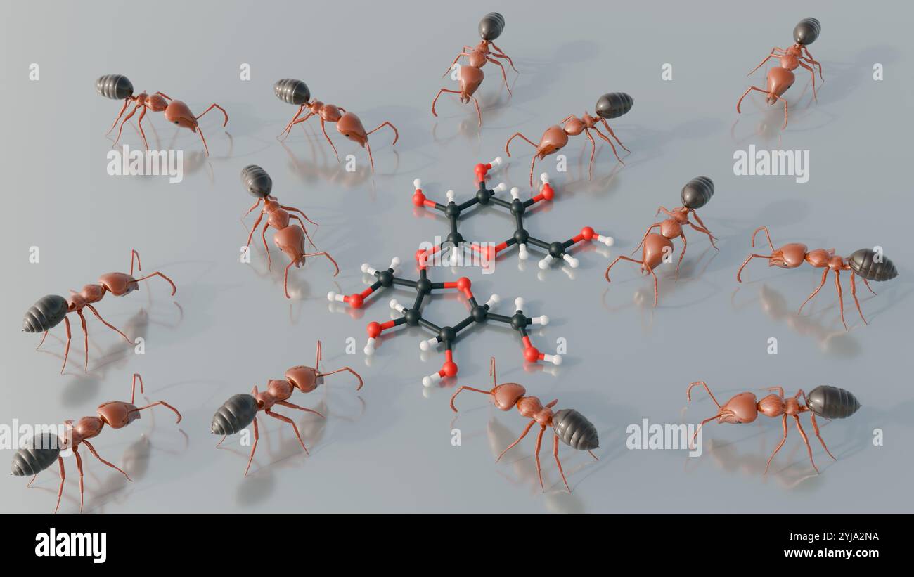 Ants are attracted to sucrose, often preferred over other sugars ...