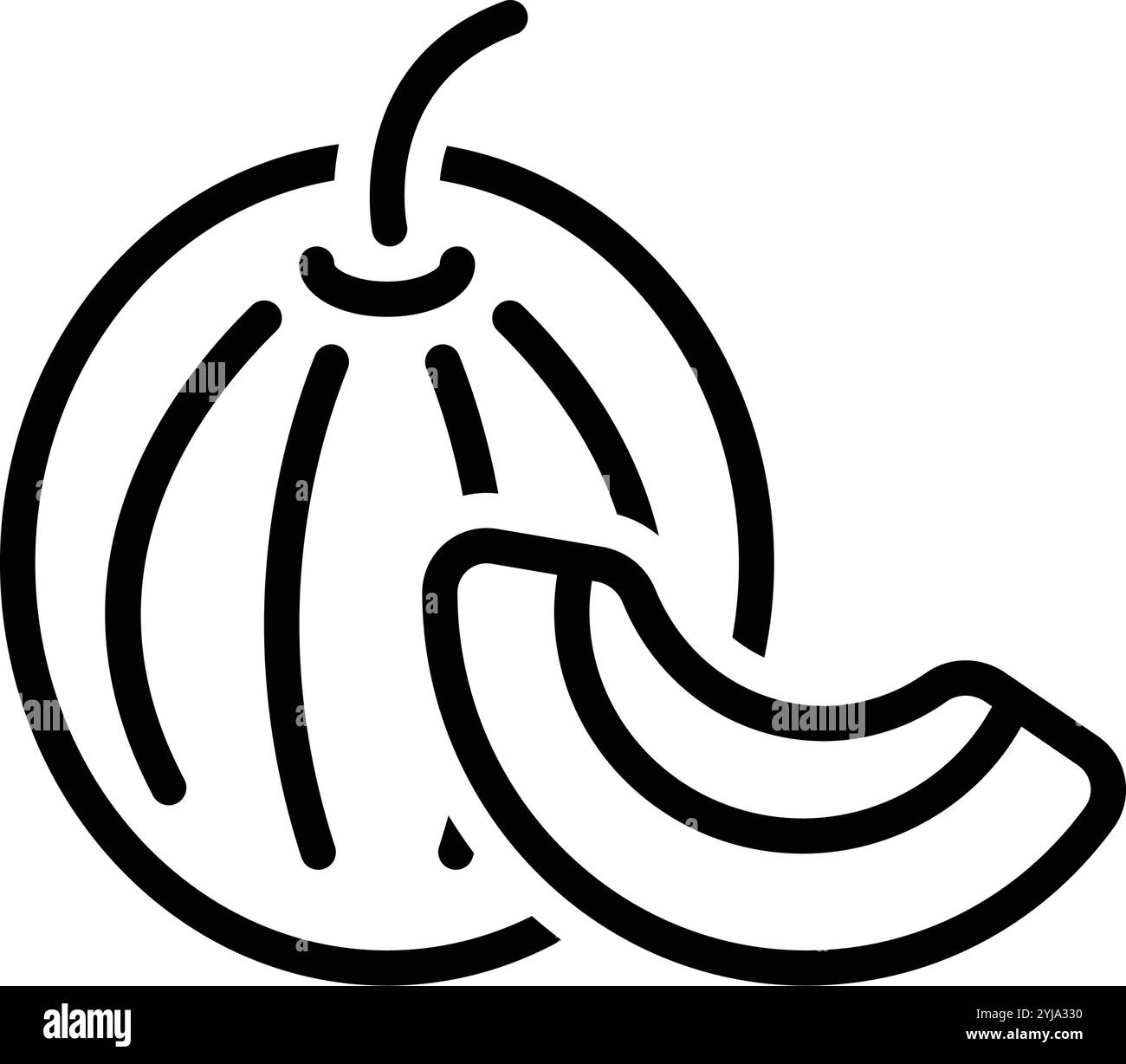 Cantaloupe or muskmelon or kharbuja Black and White Stock Photos ...