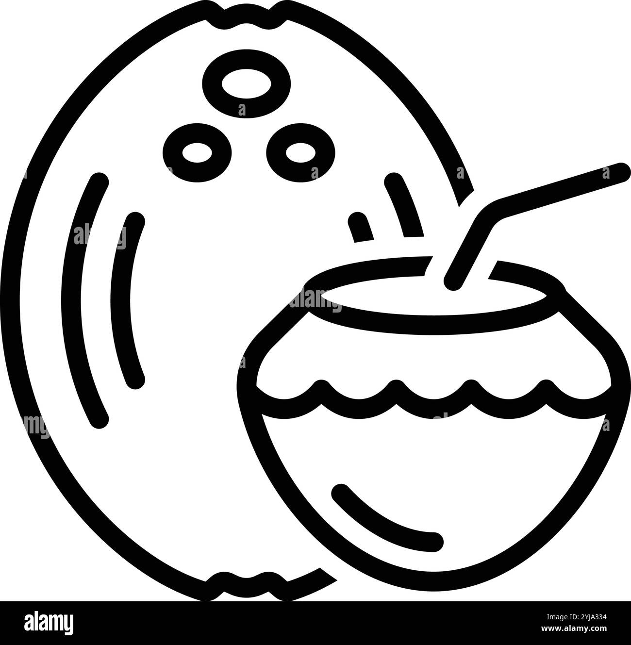 Icon for coconut, nucifera Stock Vector Image & Art - Alamy