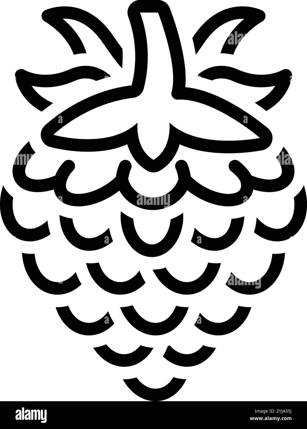 Raspberry rubus idaeus Stock Vector Images - Alamy