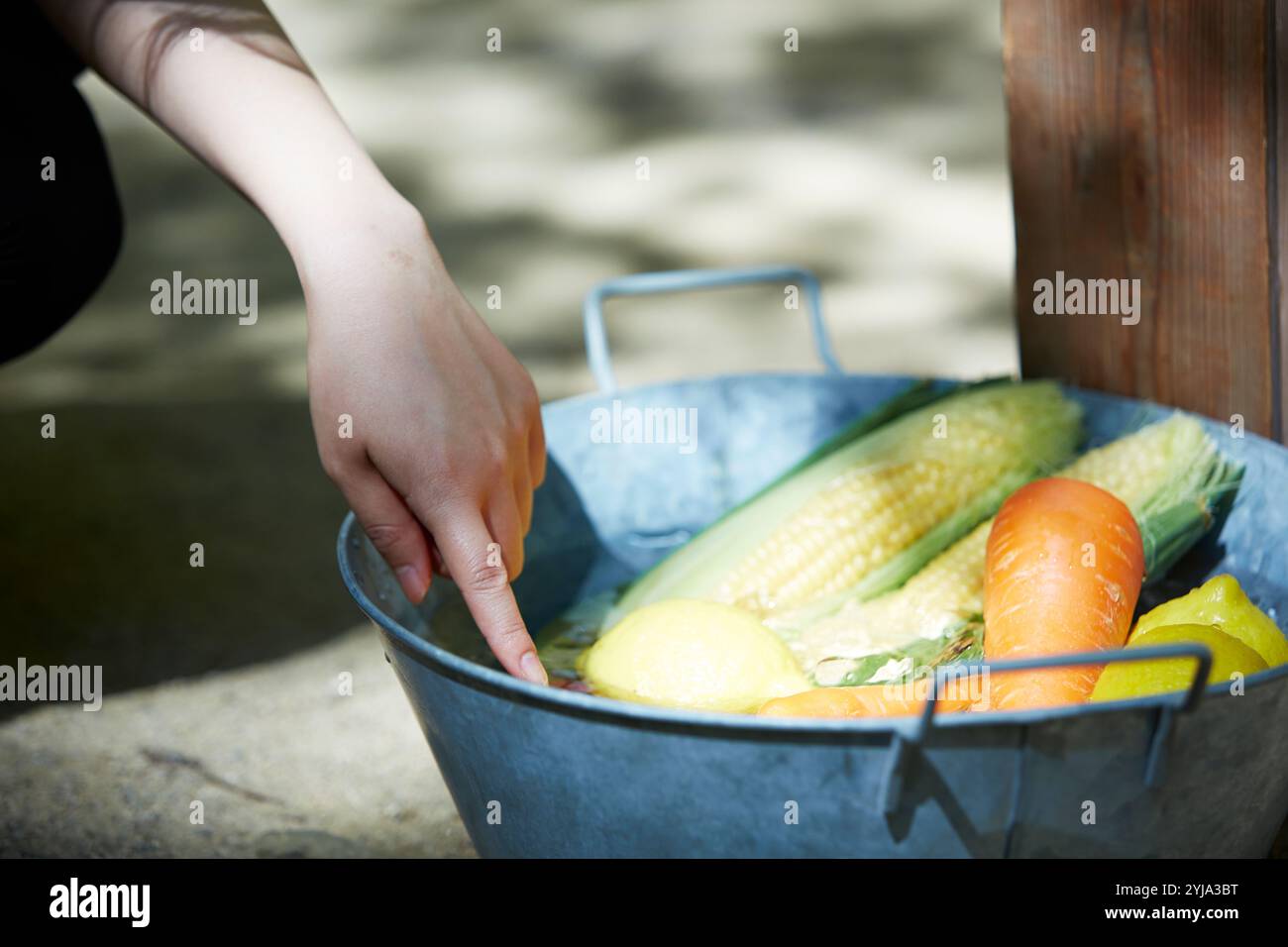 Hands selecting cold vegetables in the bucket Stock Photo - Alamy
