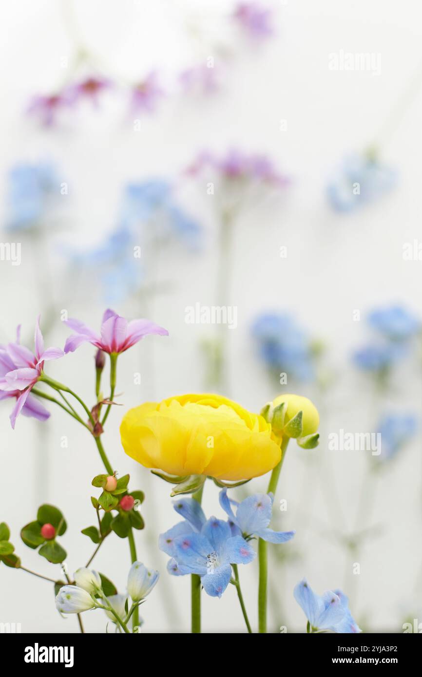 Several types of flowers hi-res stock photography and images - Alamy