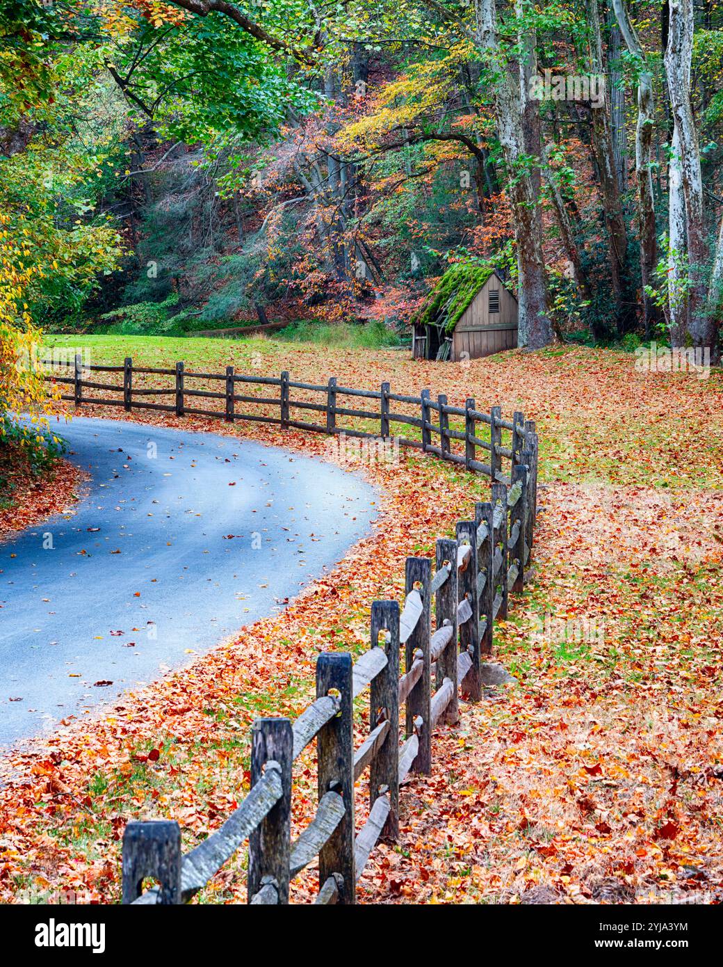 Pennsylvania forest road hi-res stock photography and images - Alamy