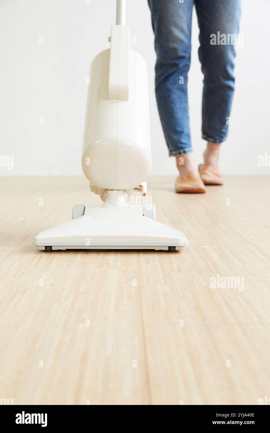 Vacuum cleaner's feet Stock Photo - Alamy
