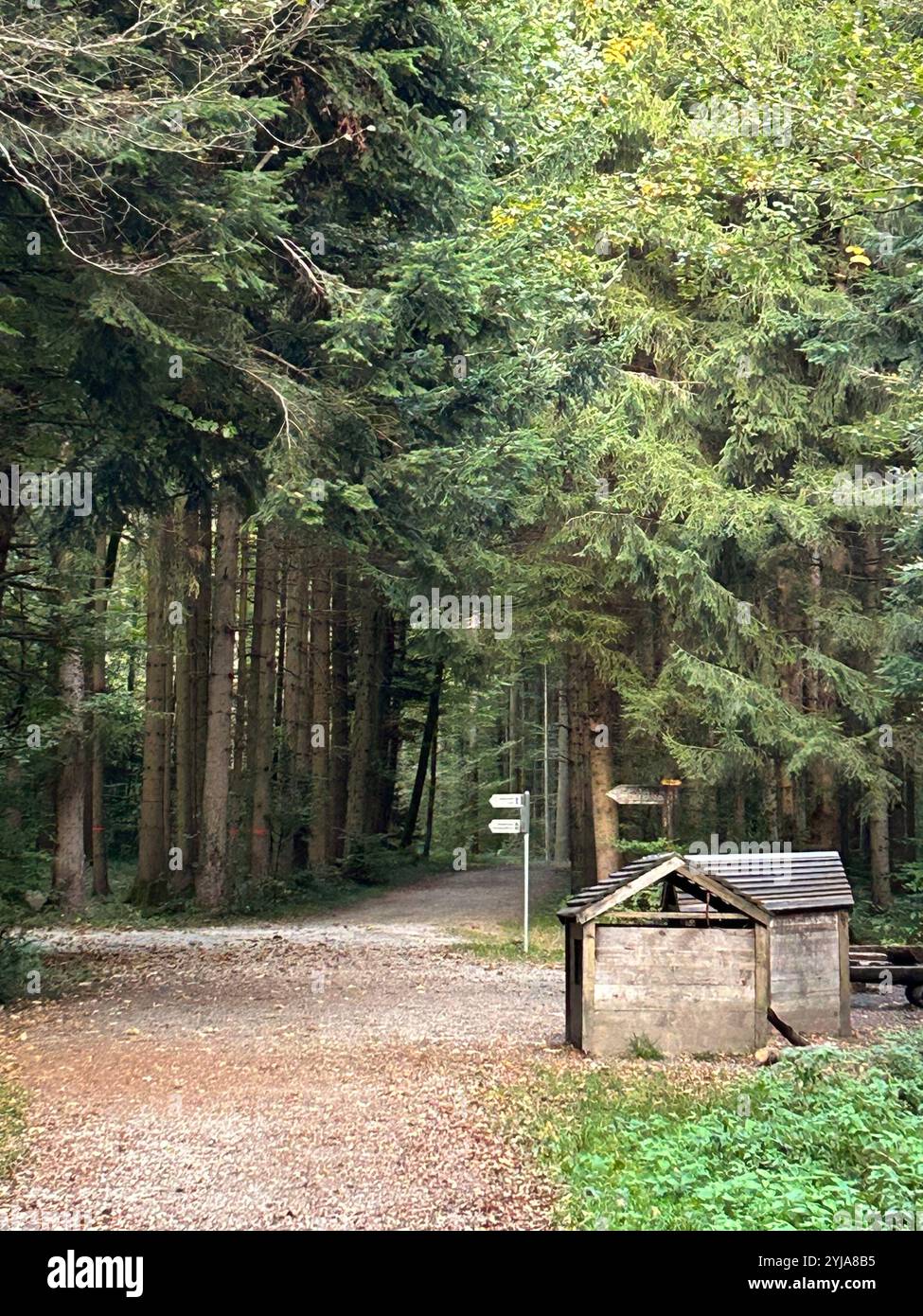 Little huts in forest hi-res stock photography and images - Alamy