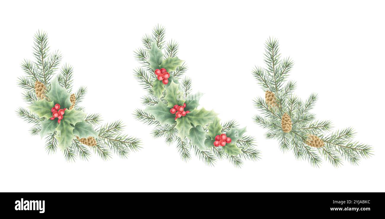 Christmas fir branches, cones and holly berries and leaves watercolor ...