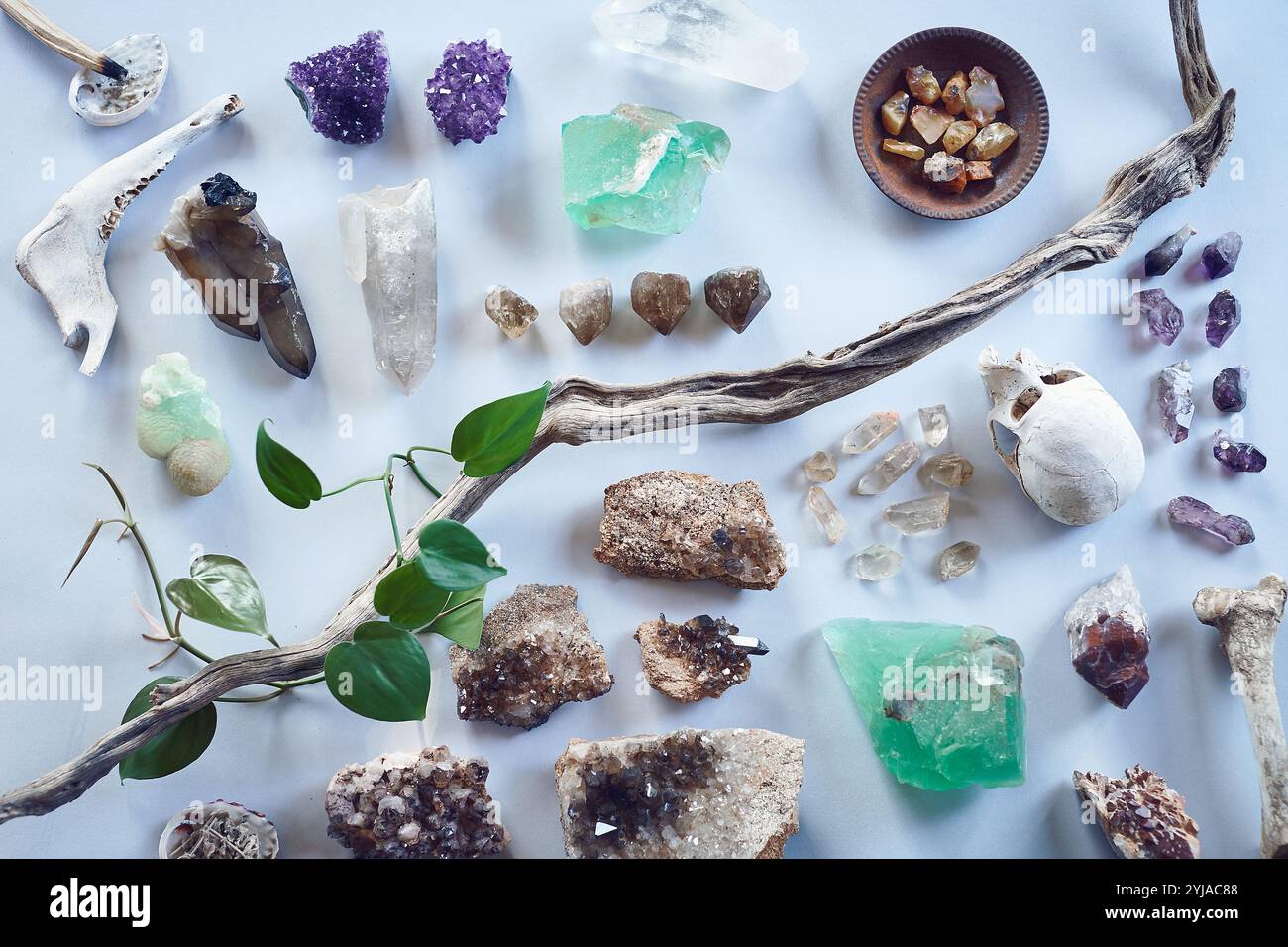 Crystal, nature and skull with stones on a white background for ...