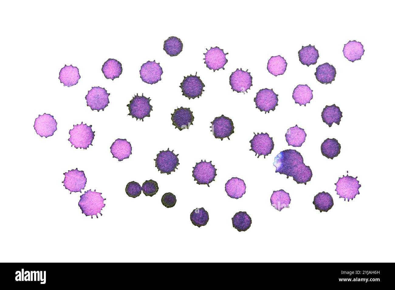 Microscopic view infectious bacteria cells hi-res stock photography and ...
