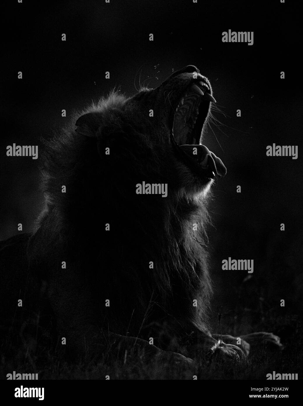 Kenya monochrome Black and White Stock Photos & Images - Alamy