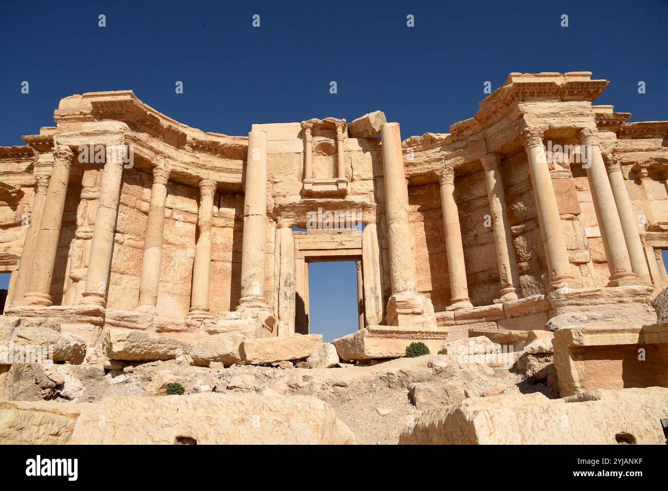 Palmyra. 13th Nov, 2024. This photo taken on Nov. 13, 2024 shows a ...