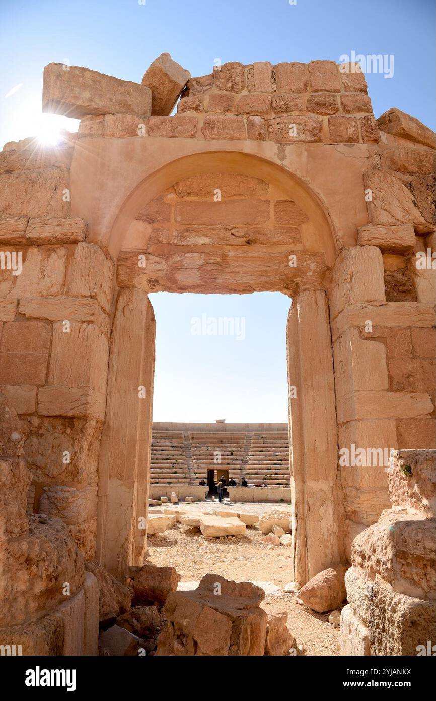 Palmyra. 13th Nov, 2024. This photo taken on Nov. 13, 2024 shows a ...