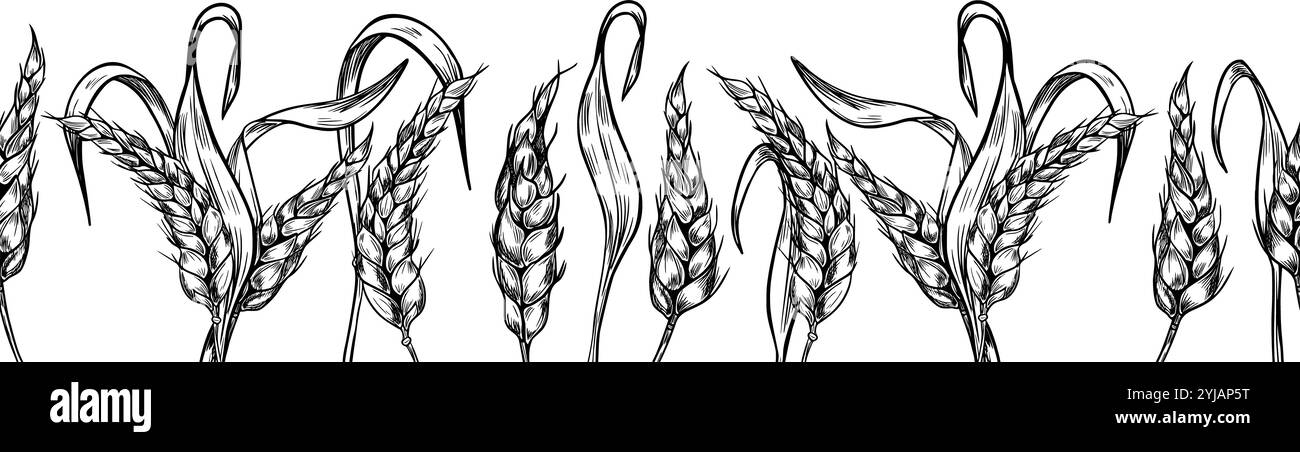 Wheat ear on stem black white graphic vector seamless border isolated ...