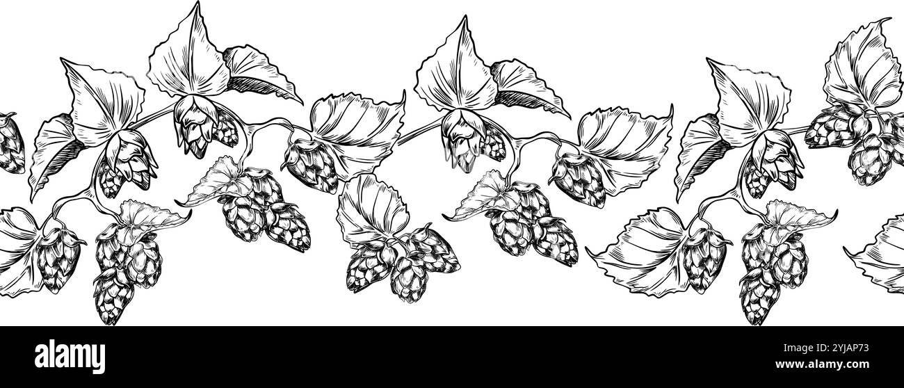 Seamless vector border with hand drawn hop cones, leaves in black white ...