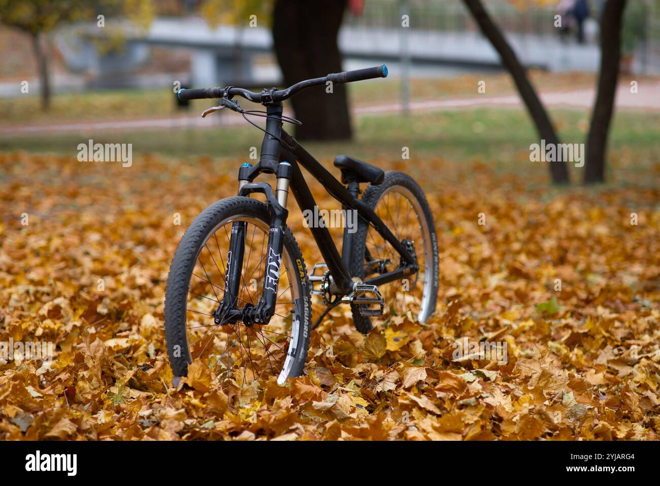 Mountain bike in autumn leaves Stock Photo - Alamy
