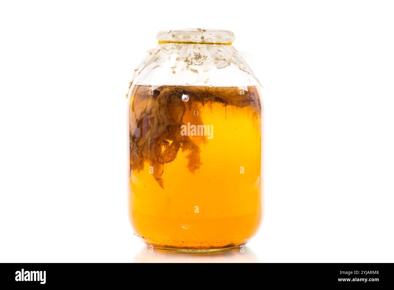 Kombucha tea in a glass jar. Isolated on white background Stock Photo ...