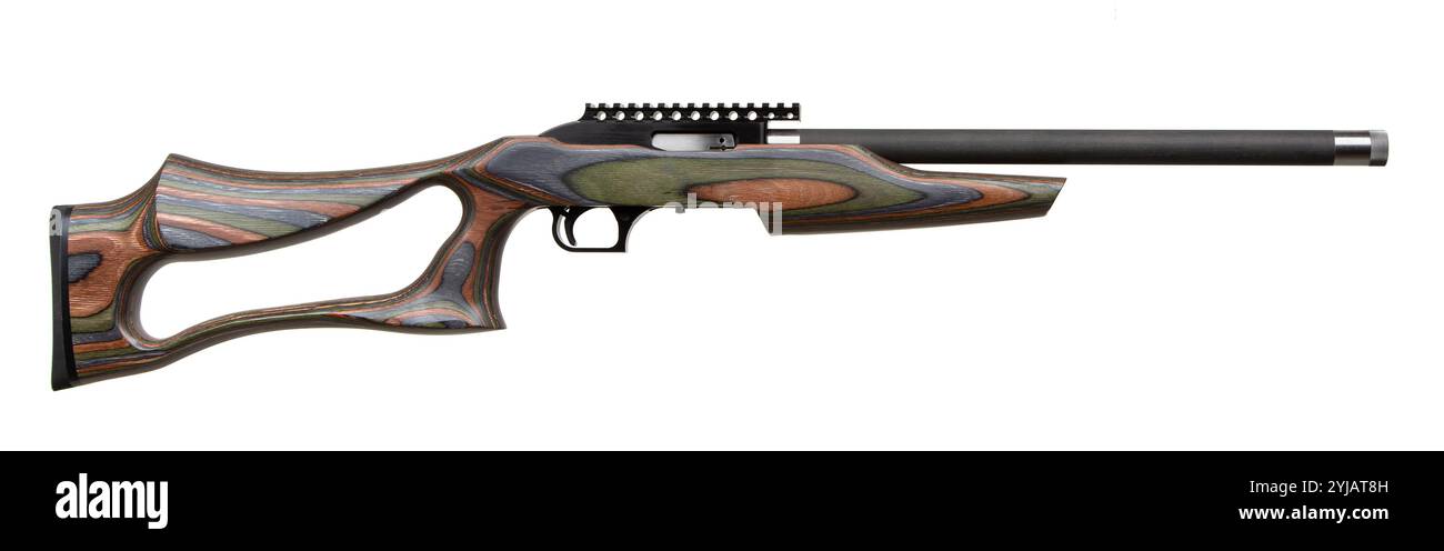 Semi-automatic .22LR rifle with custom wooden laminate stock, featuring ...