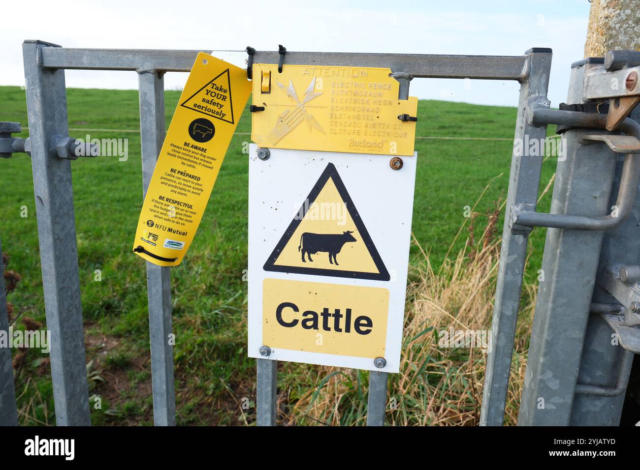 Warning Cattle sign Take Your Safety Seriously on an entrance gate on a ...
