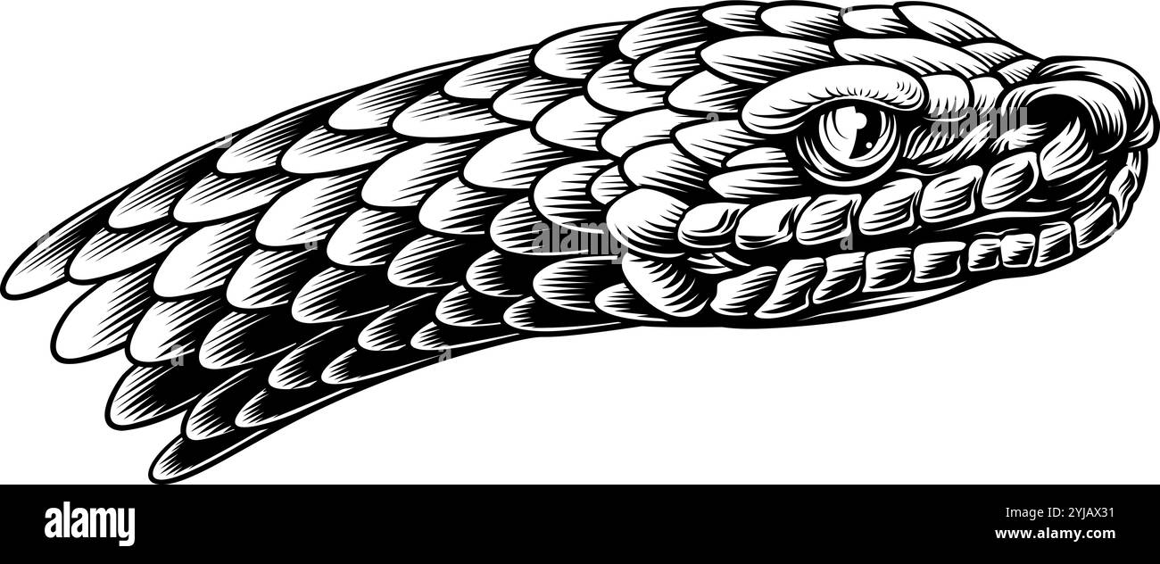 Snake Head Woodcut Vintage Etched Woodcut Style Stock Vector Image ...