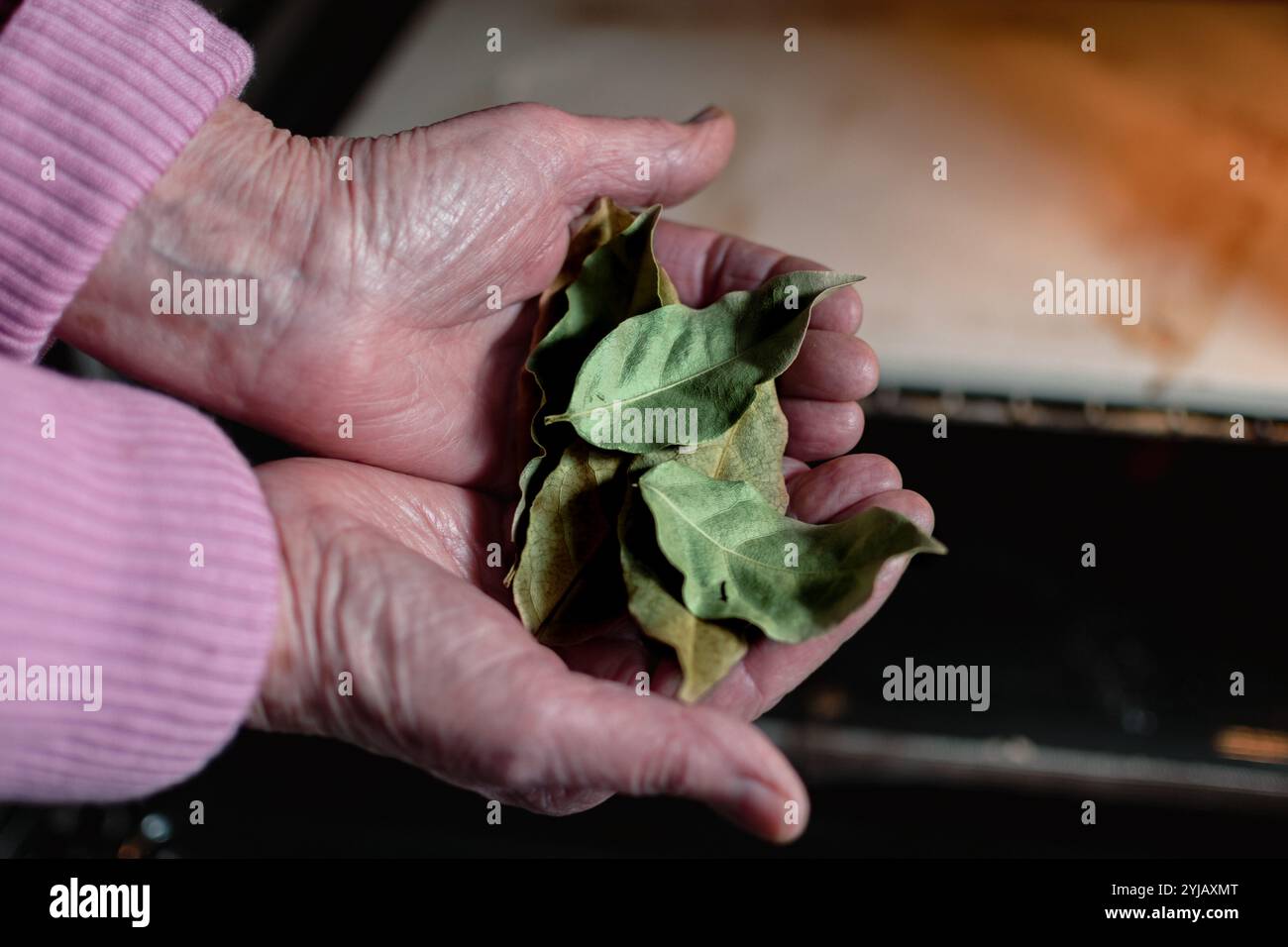 Bay leaves for cooking, burning, to bring serenity, reduce anxiety ...