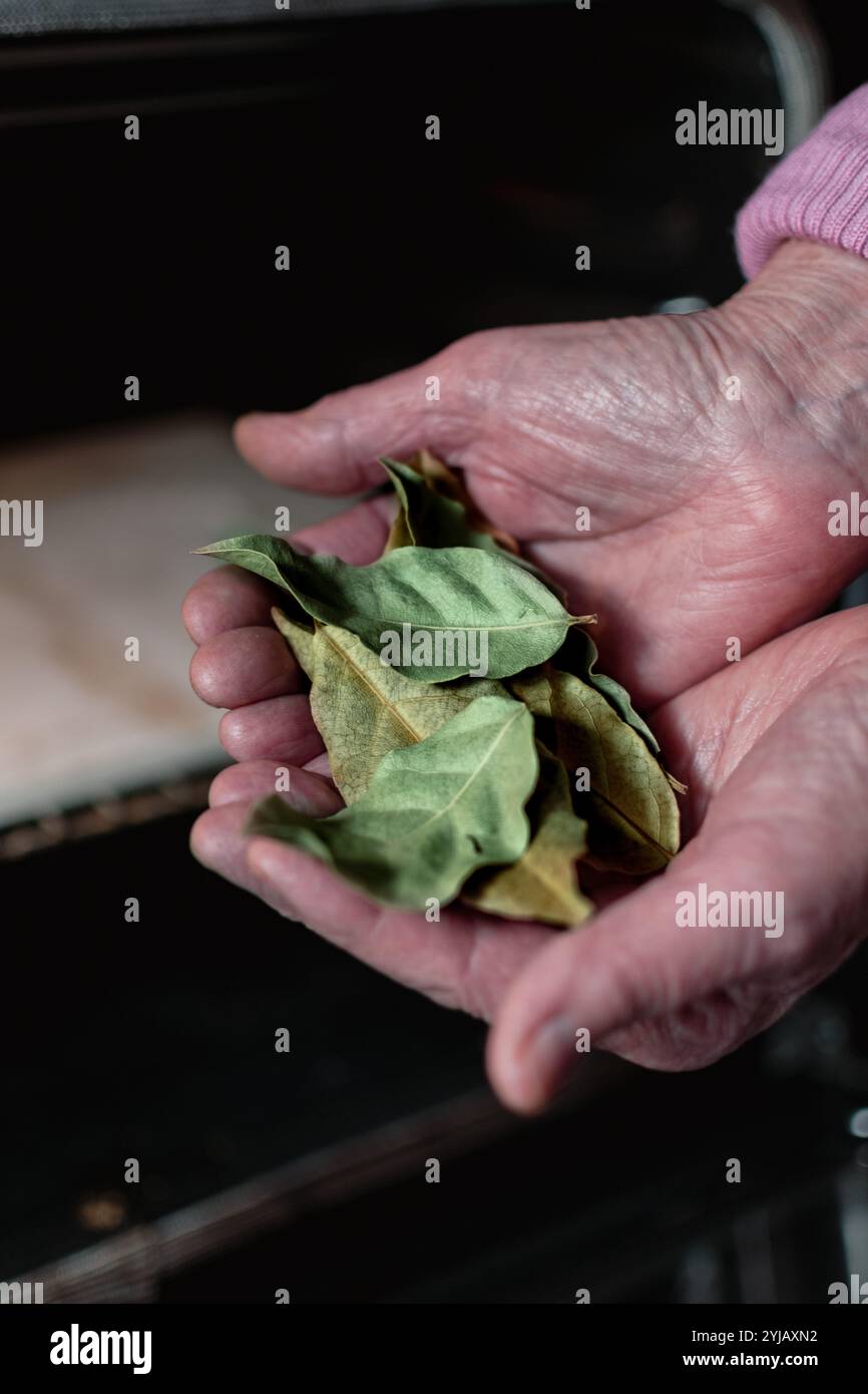 Bay leaves for cooking, burning, to bring serenity, reduce anxiety ...