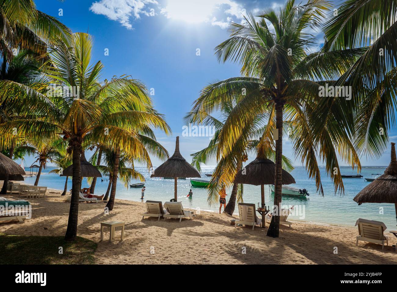 A photo capturing a sandy beach in Mauritius with palm trees and chairs ...