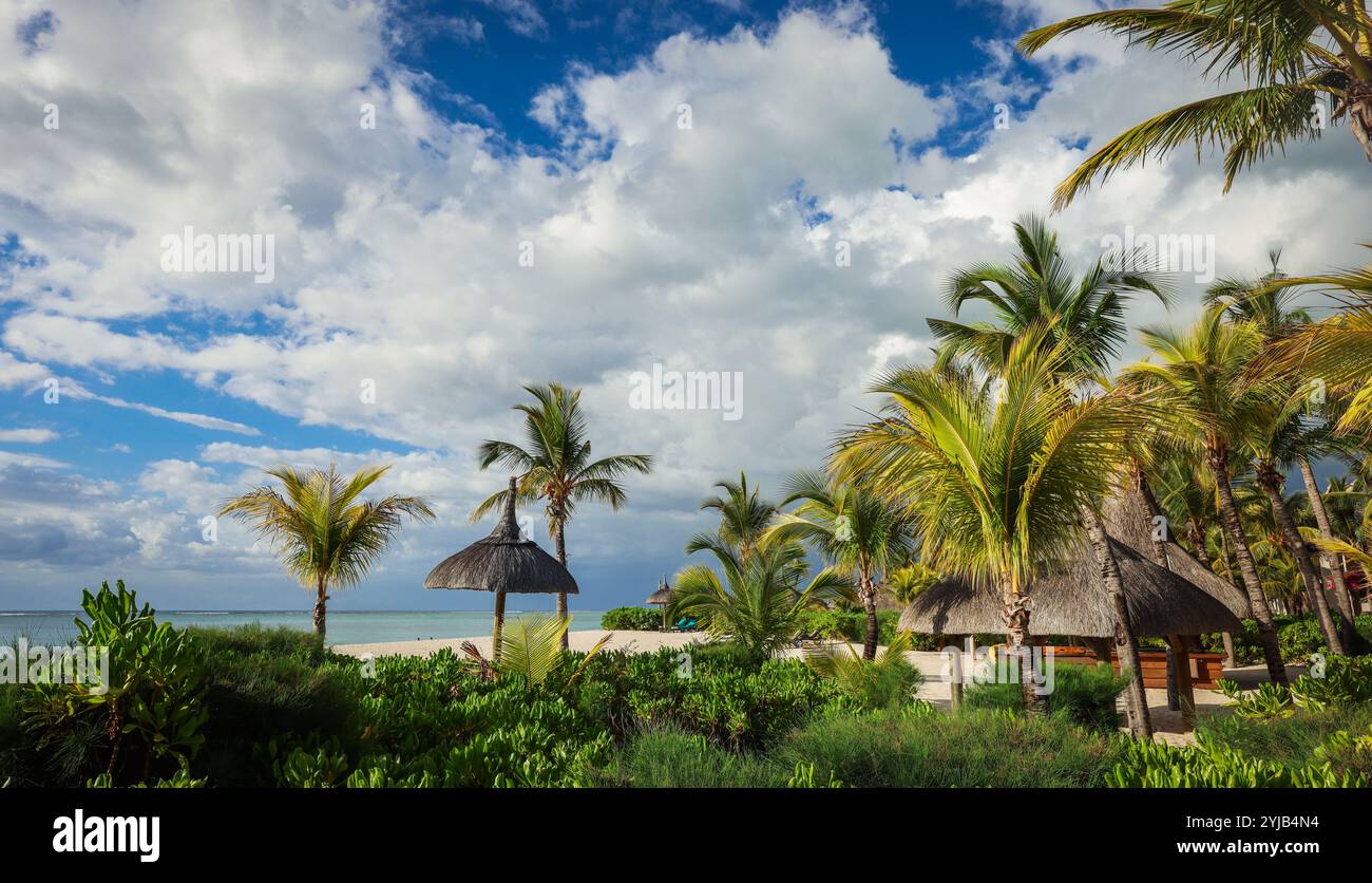 A tropical beach in Mauritius with palm trees and a hut, providing a ...