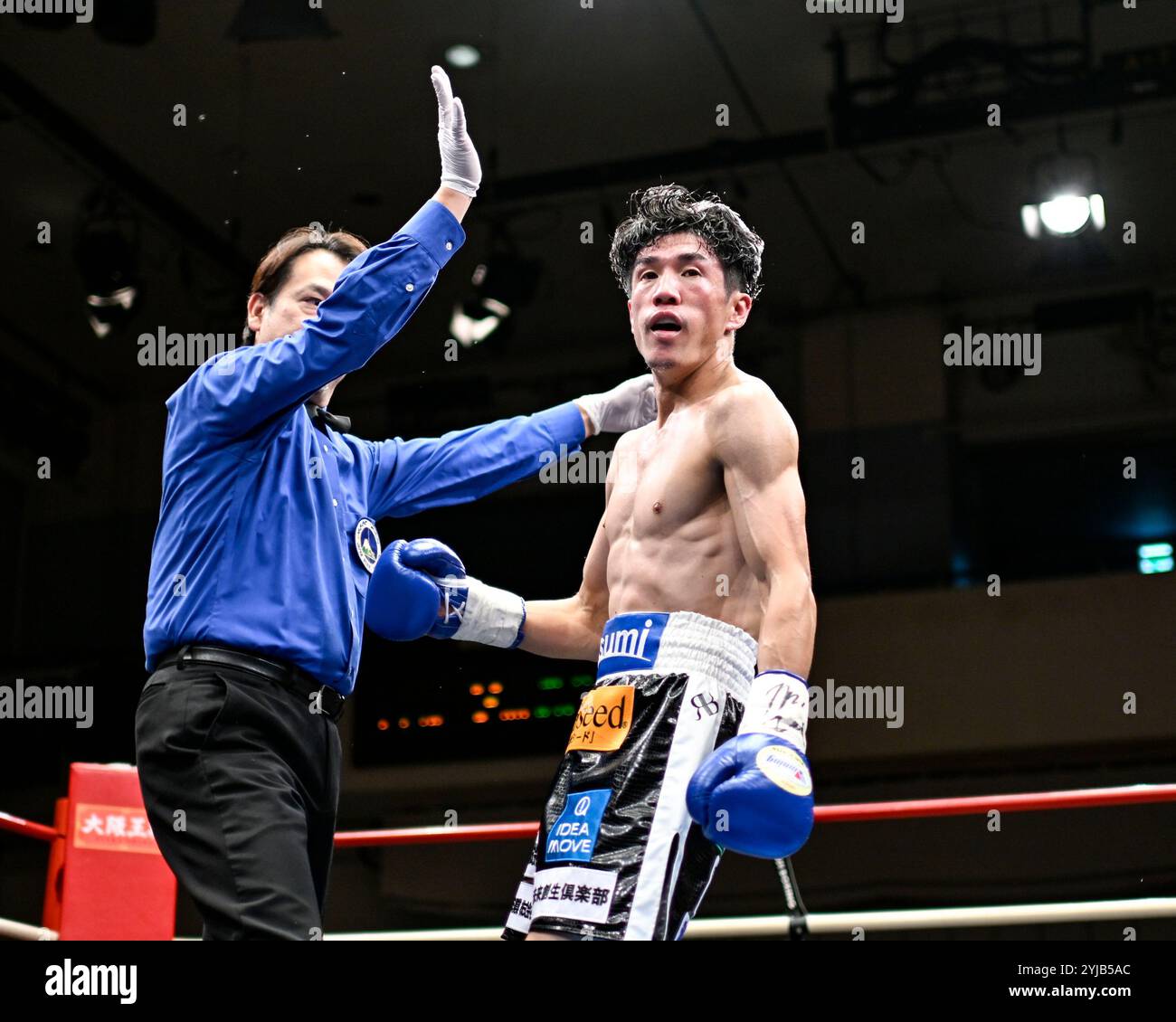 Tokyo, Japan. 12th Nov, 2024. Referee Michiaki Someya left, stops the fight in the second round ...