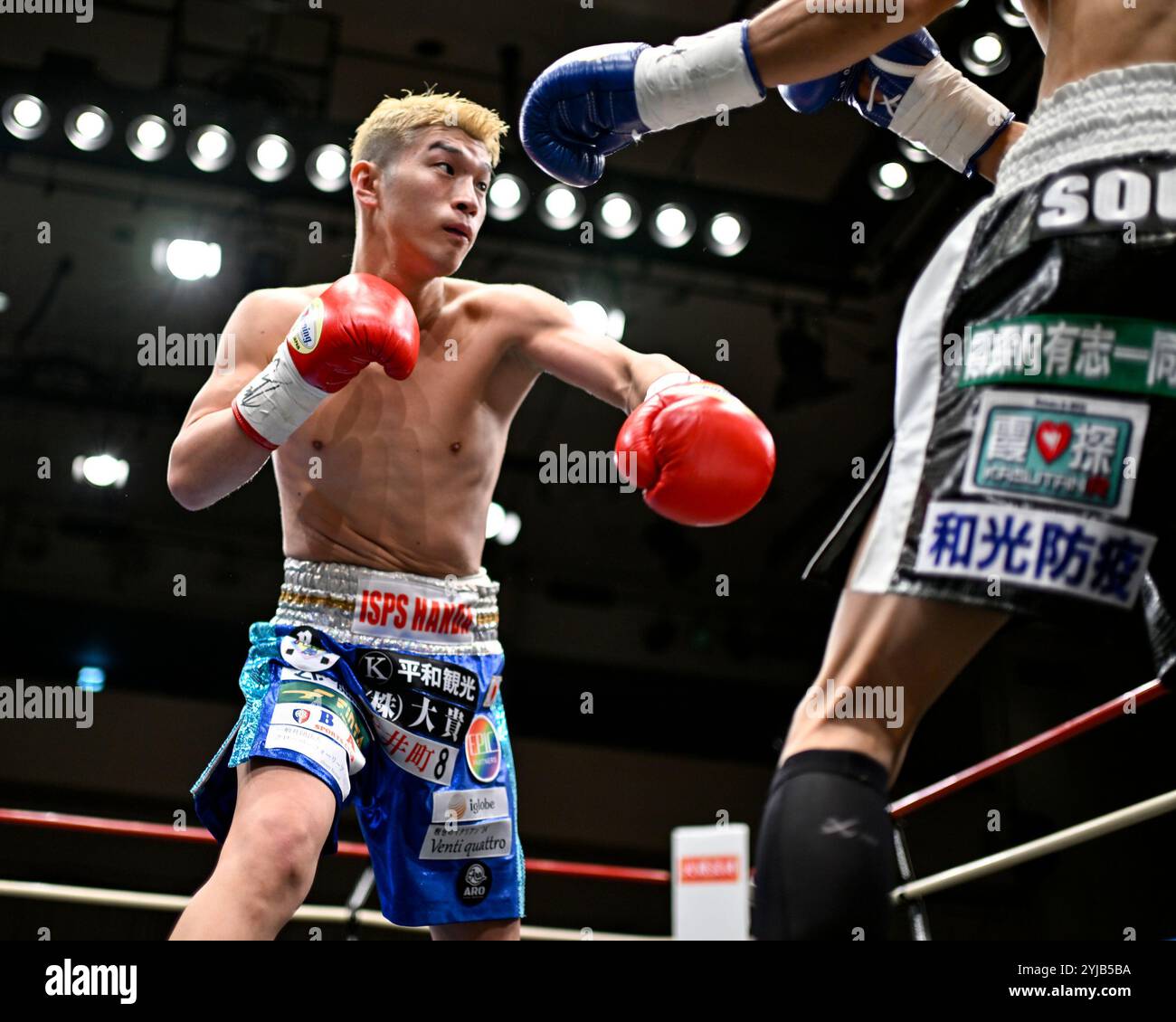 Tokyo, Japan. 12th Nov, 2024. Suzumi Takayama (red gloves) and Isao ...