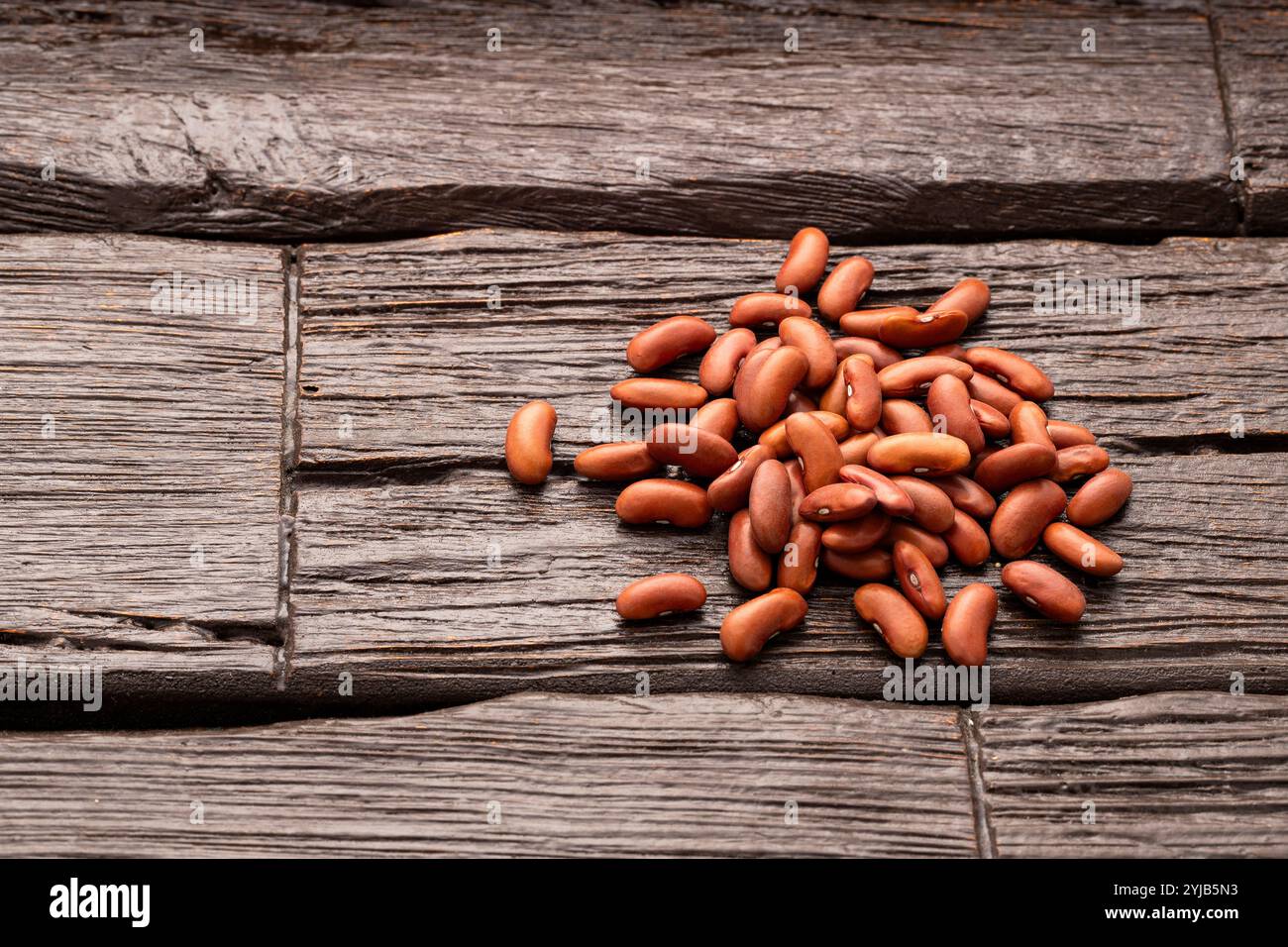 Frijol phaseolus vulgaris hi-res stock photography and images - Alamy