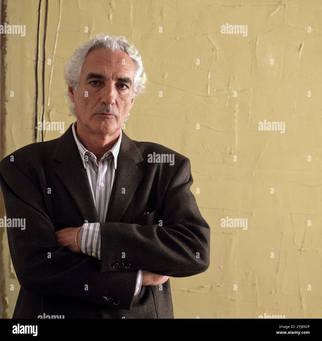 HERNANDEZ PIJUAN , JOAN. PINTOR ESPAÑOL . BARCELONA 1931- 2005 Stock ...