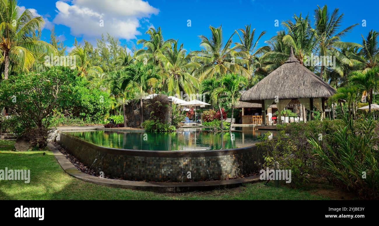 A beautiful pool surrounded by palm trees and a hut in a tropical ...