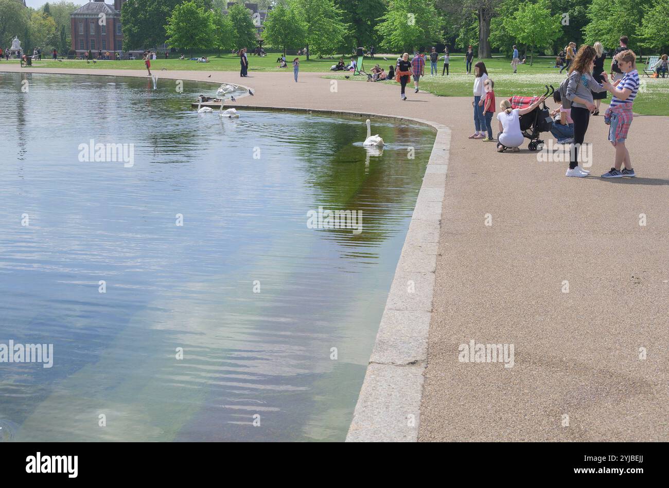 London, UK. The Round Pond in Kensington Gardens Stock Photo - Alamy