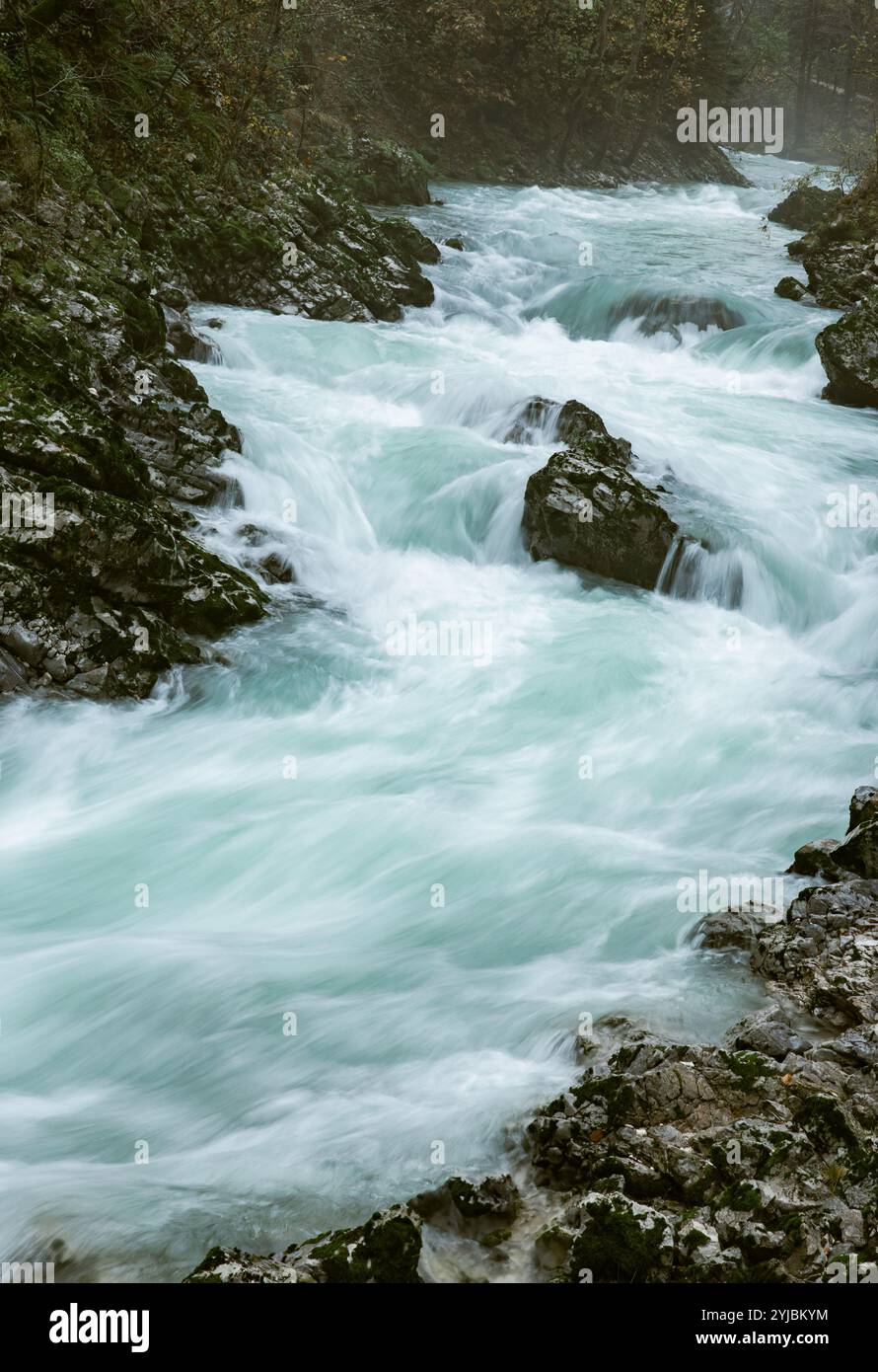 The Radovna River running through Vintgar Gorge ( aka Bled Gorge ...