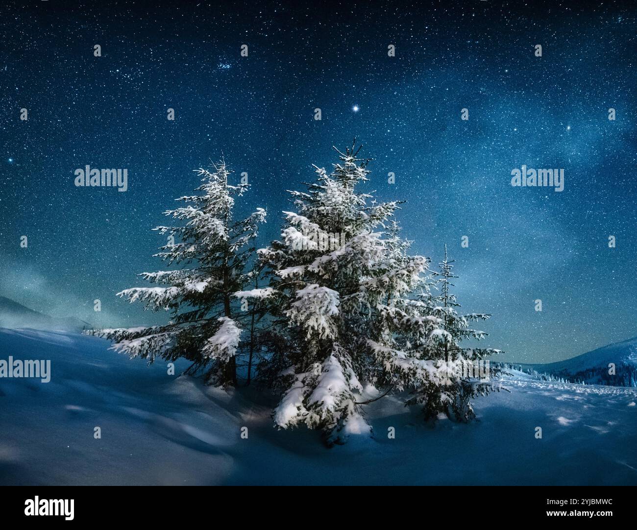 fabulous winter landscape in the mountains at night. (Christmas tree ...