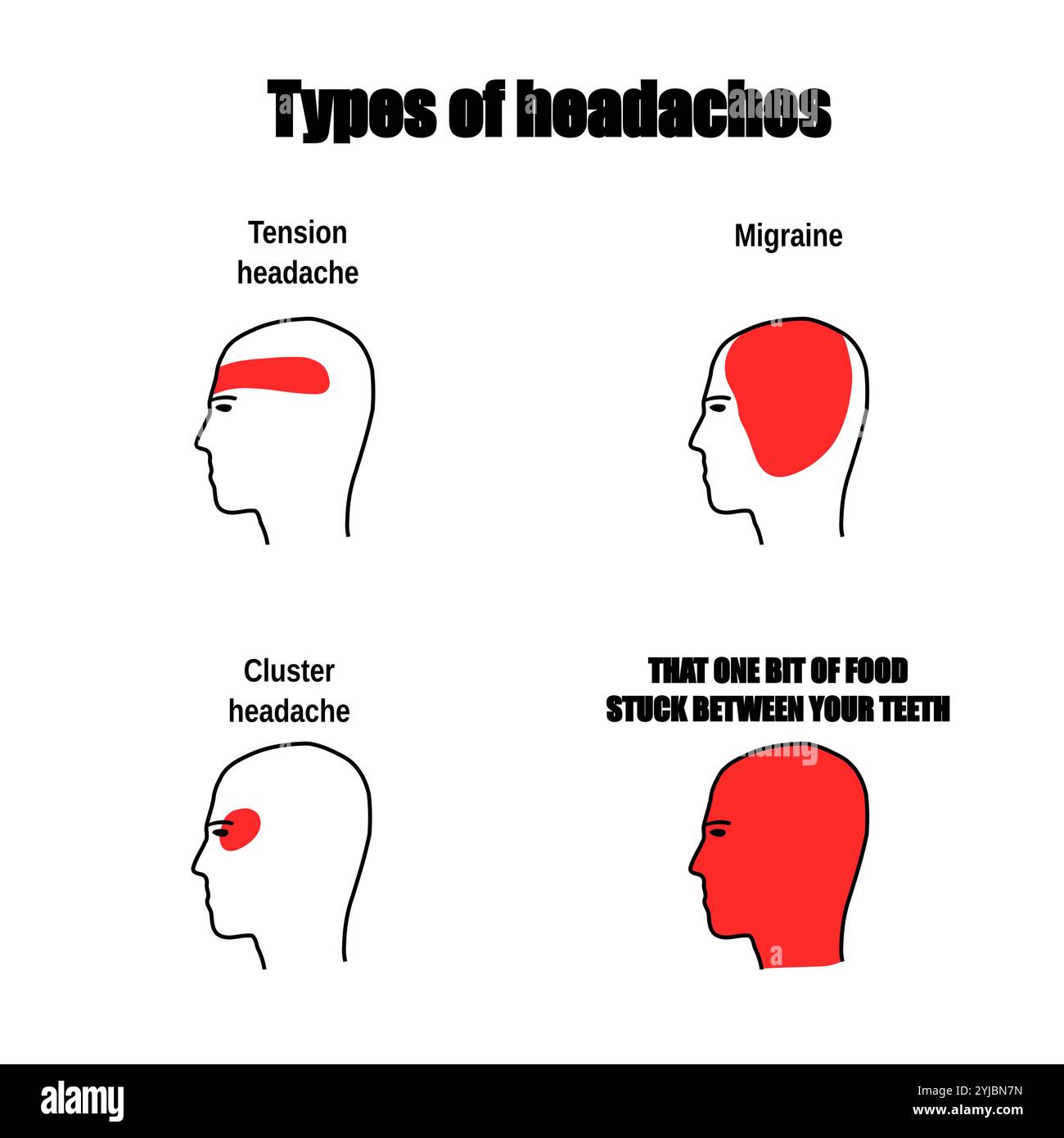 Meme about food stuck in between your teeth. Humor for social media ...