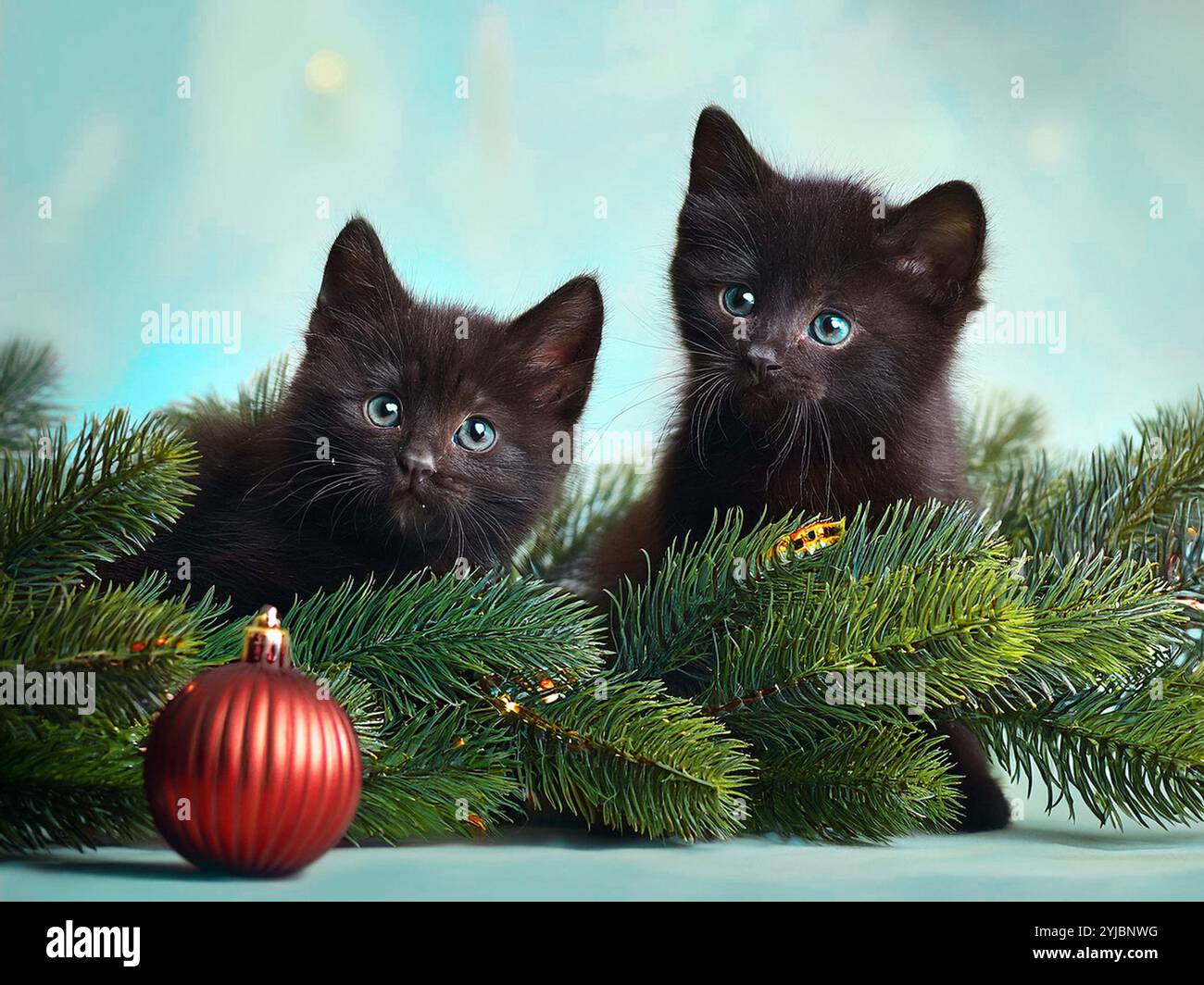 Christmas foliage hi-res stock photography and images - Alamy