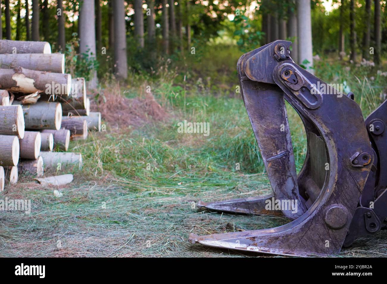 timber industry, log handling machine with log handling clamps in front ...