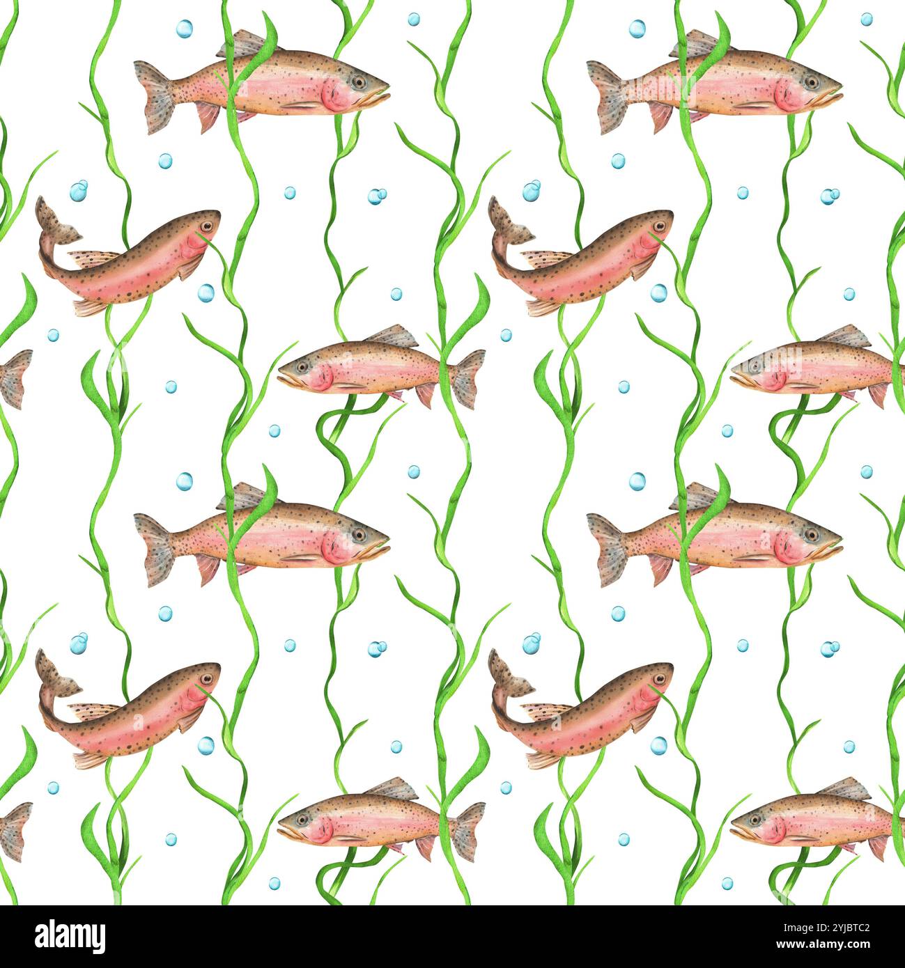 Seamless pattern with rainbow trout, algae, water bubbles. Seaweed ...