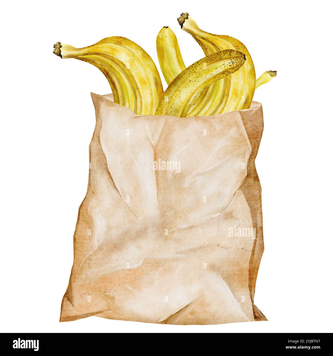 Bananas watercolor. Hand drawn ripe tropical fruit in paper bag. Clip ...