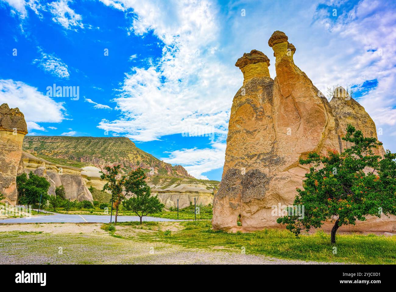 Gorgeous place in Cappadocia-Fairy Chimneys (Pasabag Valley).Turkiye ...