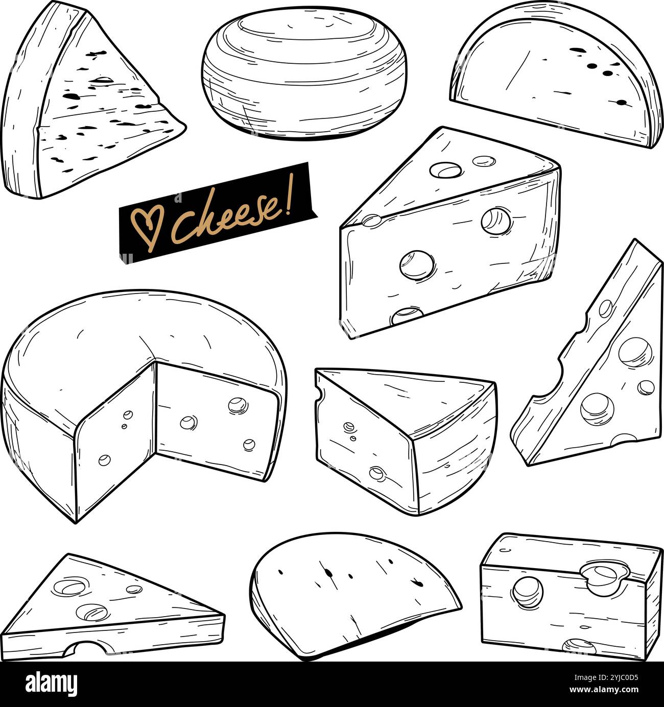 Various types of cheese sliced in pieces. Hand drawn ink sketch ...