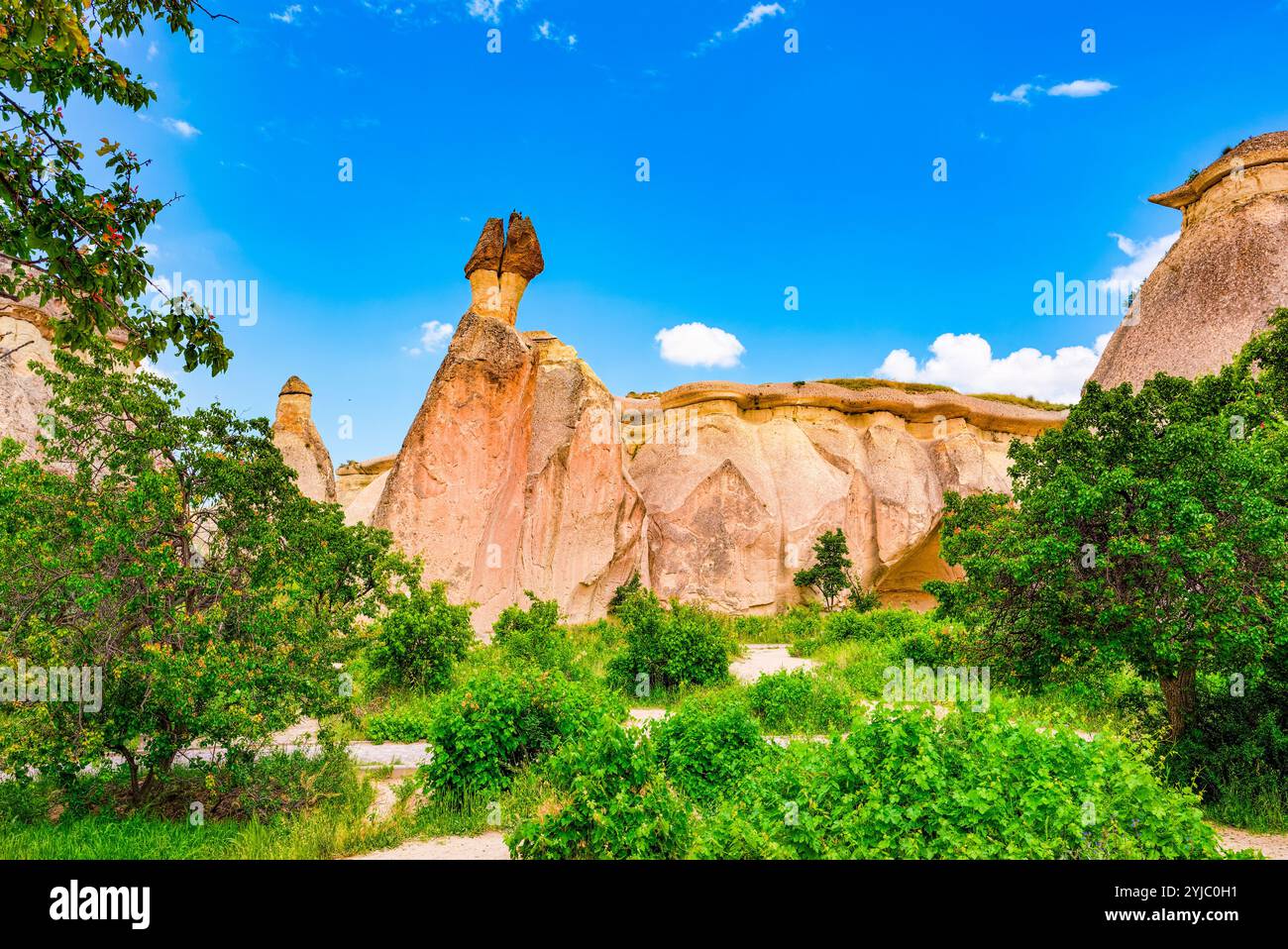 Gorgeous place in Cappadocia-Fairy Chimneys (Pasabag Valley).Turkiye ...