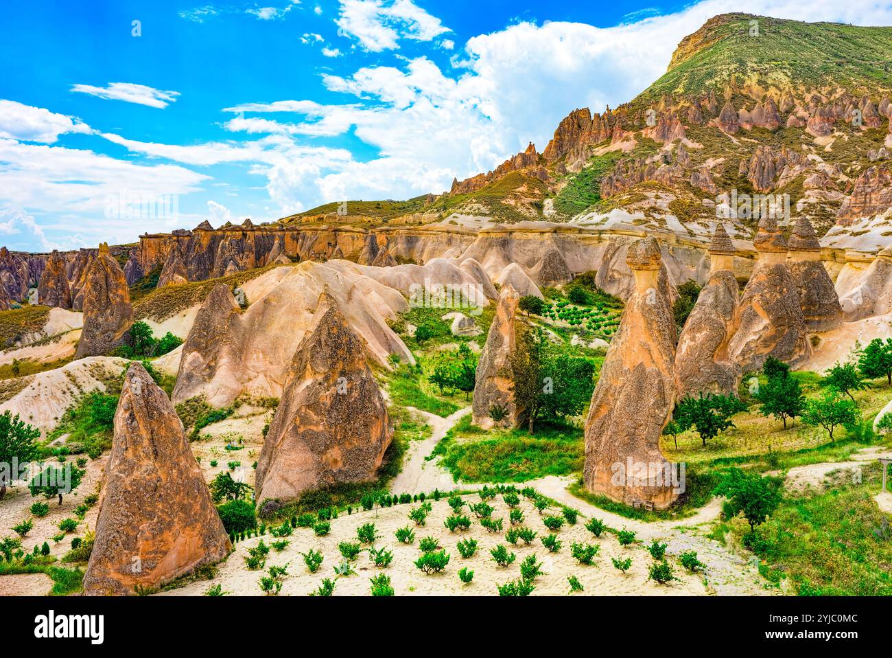 Gorgeous place in Cappadocia-Fairy Chimneys (Pasabag Valley).Turkiye ...