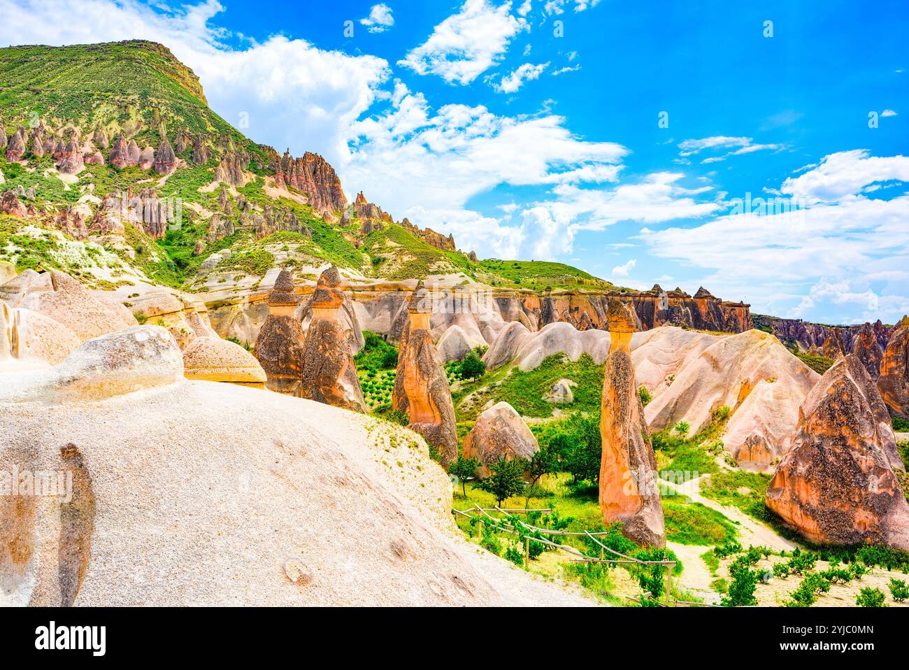 Gorgeous place in Cappadocia-Fairy Chimneys (Pasabag Valley).Turkiye ...