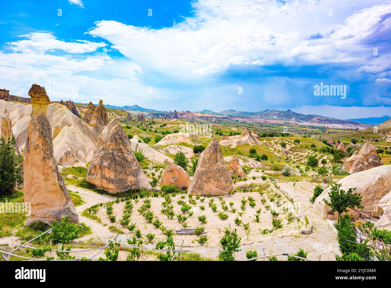 Gorgeous place in Cappadocia-Fairy Chimneys (Pasabag Valley).Turkiye ...