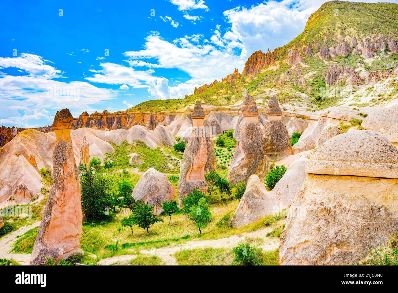Gorgeous place in Cappadocia-Fairy Chimneys (Pasabag Valley).Turkiye ...