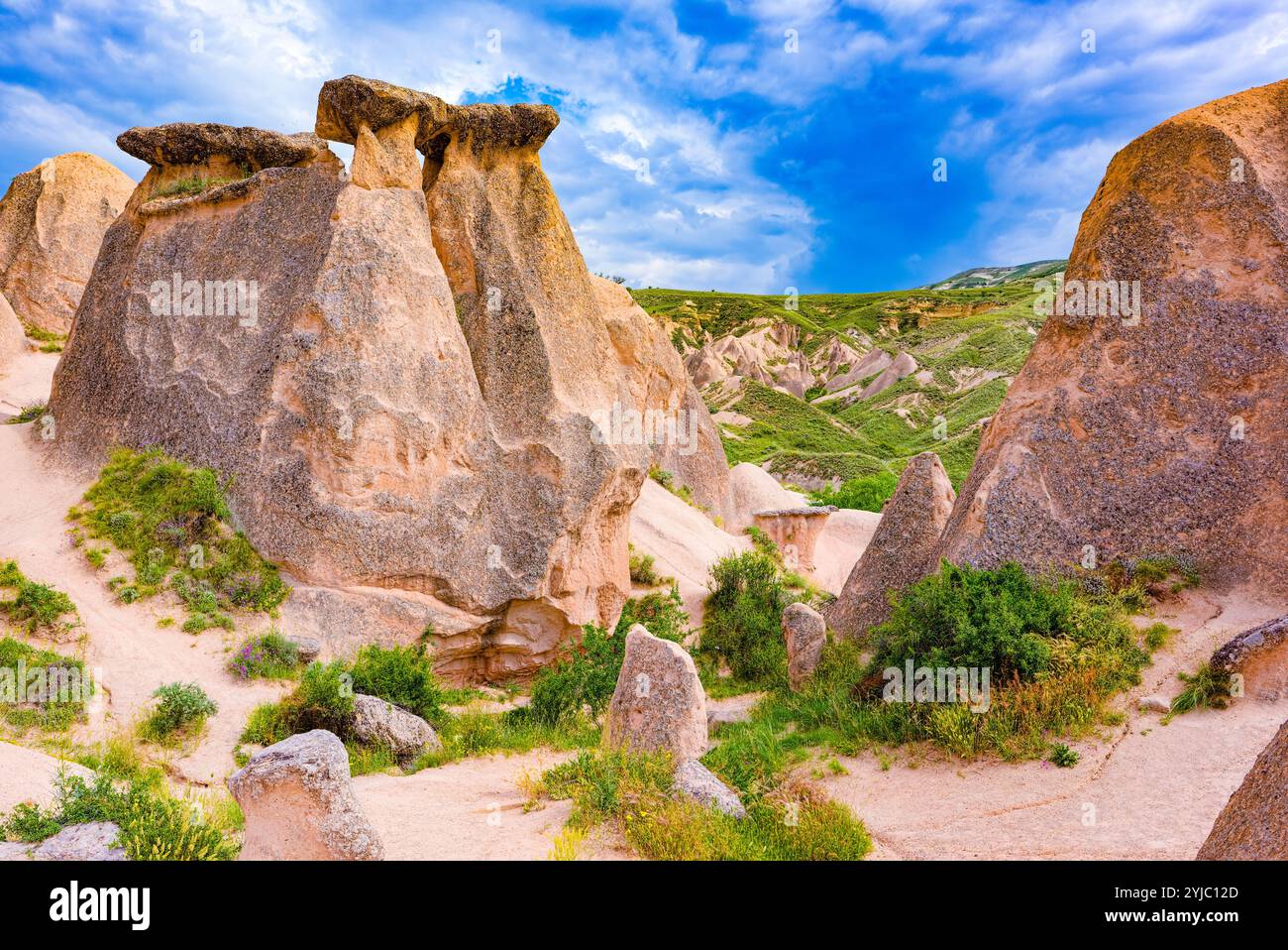 Gorgeous Cappadocia-Devrent Valley(Imagination Valley). Turkiye Stock ...