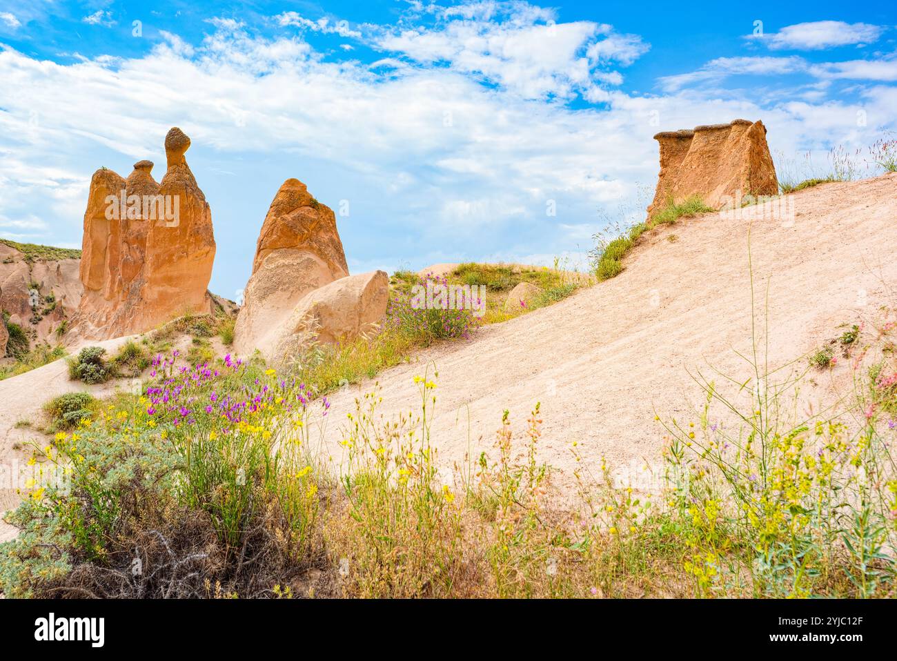 Gorgeous Cappadocia-Devrent Valley(Imagination Valley). Turkiye Stock ...