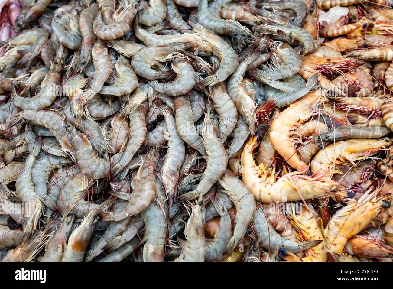 Raw prawns top view on the counter at fish market Stock Photo - Alamy