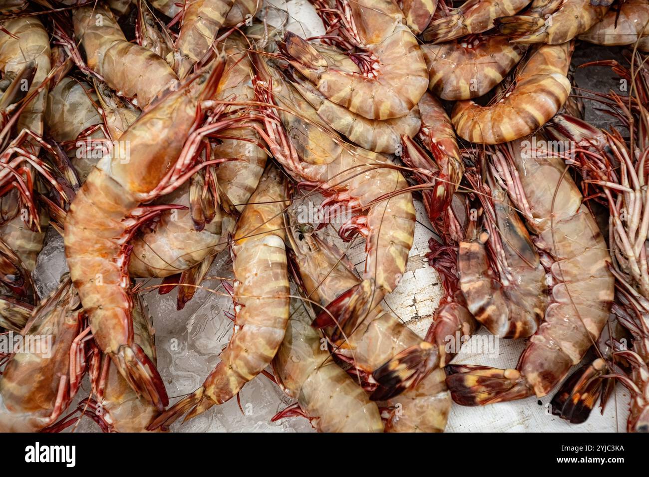 Raw prawns top view on the counter at fish market Stock Photo - Alamy